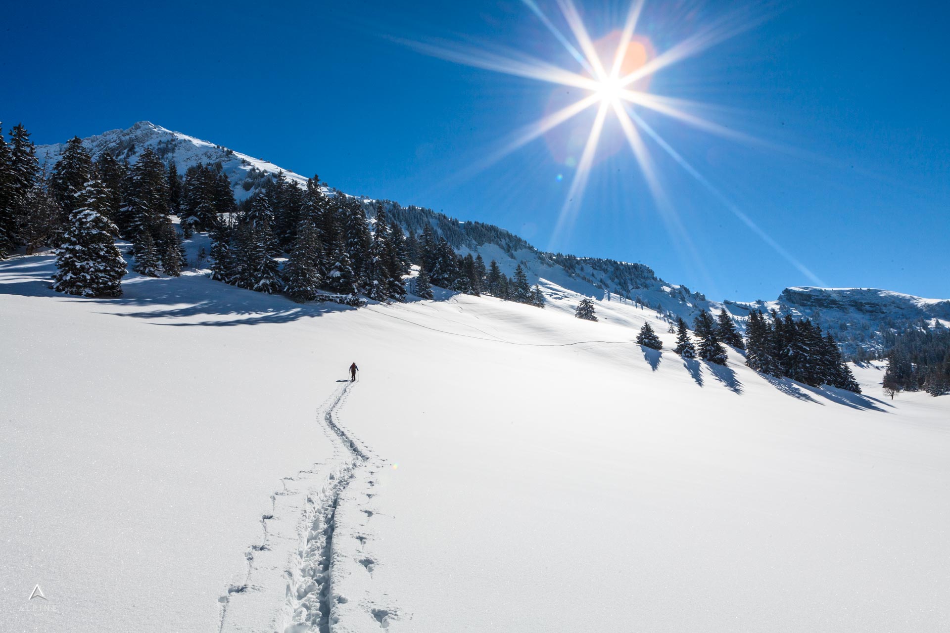 Ski de rando : l’art de bien faire la trace – Alpine Mag