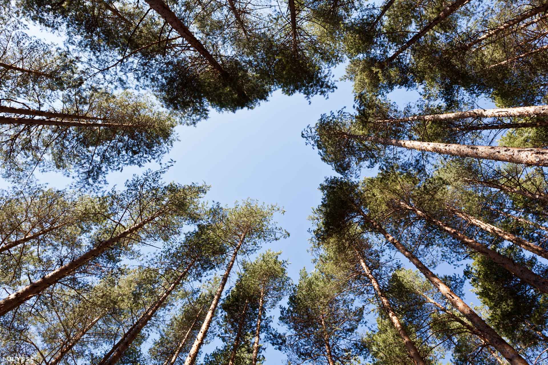 L’homme tousse, la nature respire – Alpine Mag