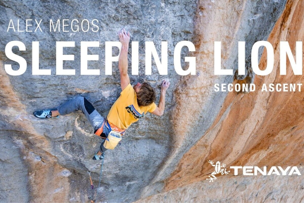 Escalade : la vidéo d’Alex Megos dans Sleeping Lion qu’il réévalue à 9b ...